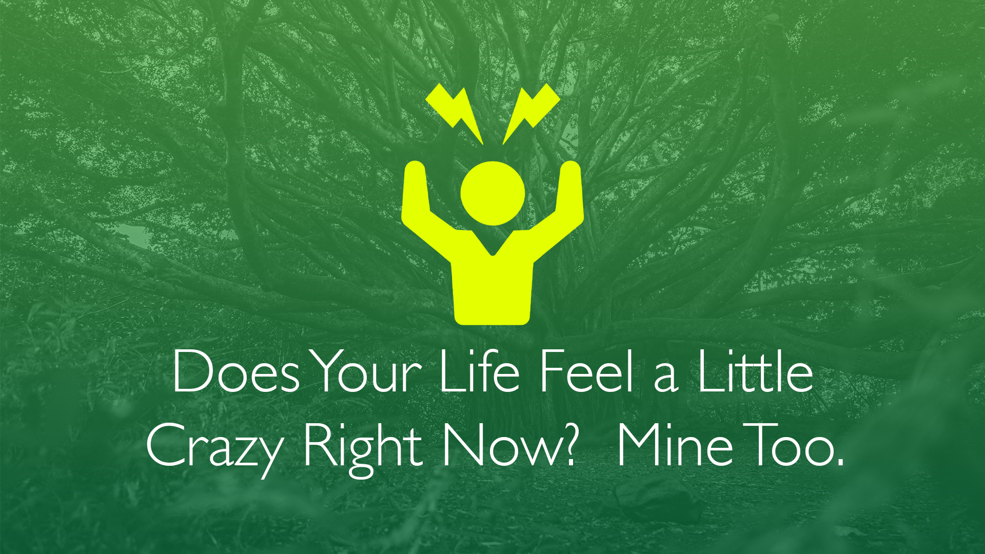 Does Your Life Feel a Little Crazy Right Now? Mine Too. - Financial ...